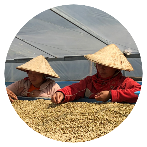 Home page [www.rombouts.com]